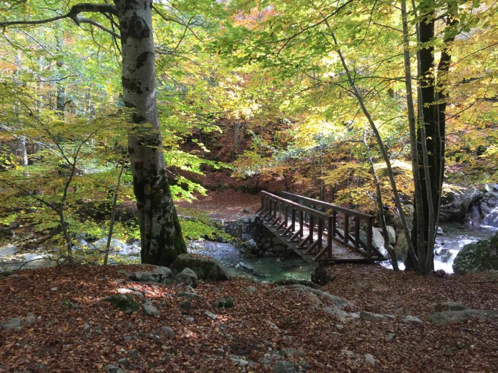 Les forêts, rivières & vallées - Office de Tourisme du Centre Corse
